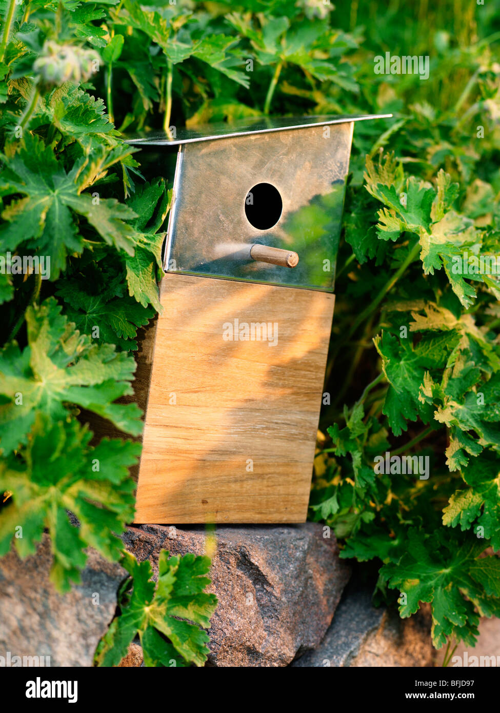 A nesting box, Sweden Stock Photo - Alamy