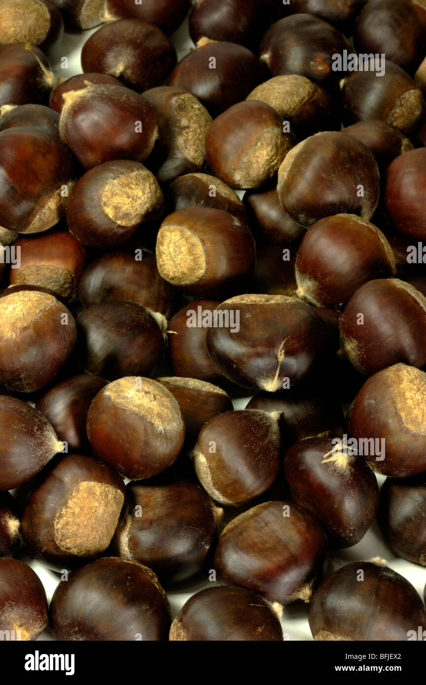 Chinese chestnuts hi-res stock photography and images - Alamy