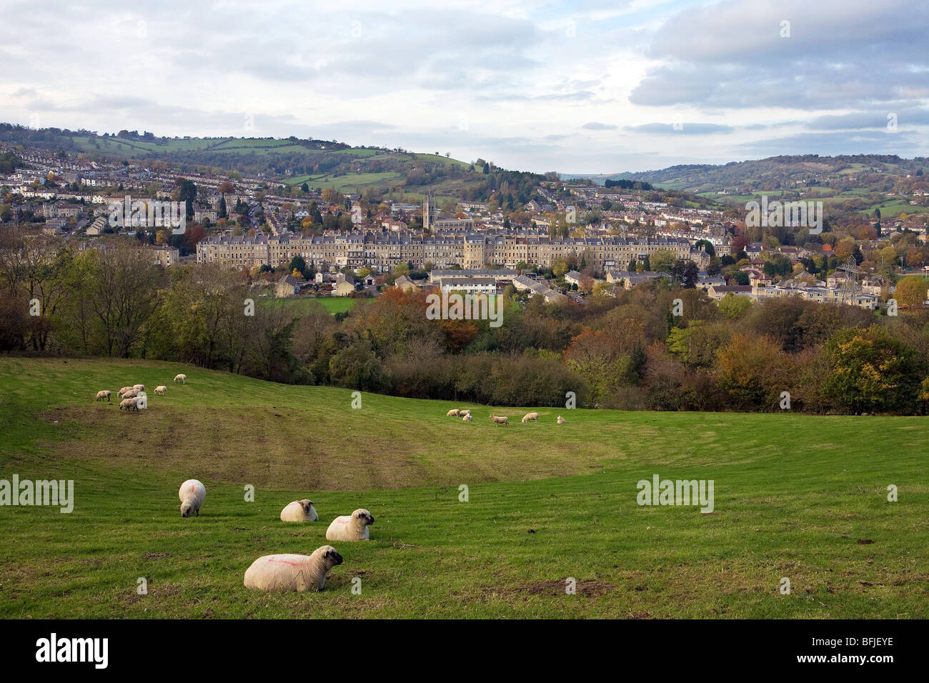 A flock of sheep graze in a field with the city of bath in the distance ...