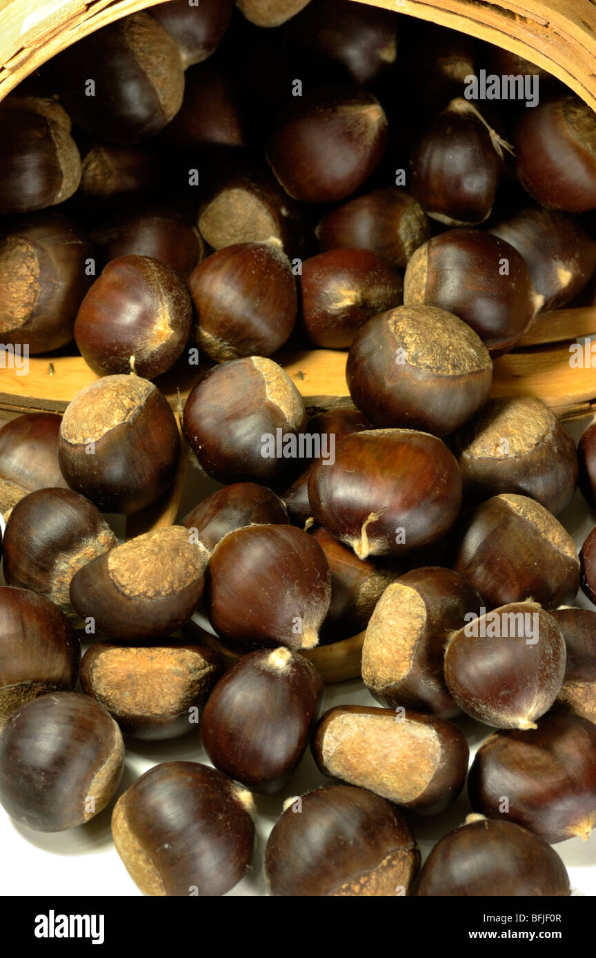 Chinese chestnuts hi-res stock photography and images - Alamy
