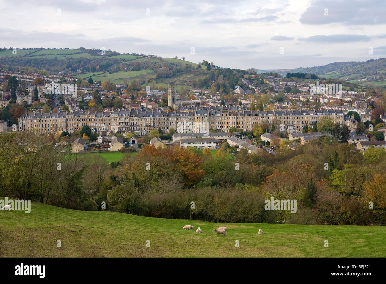A flock of sheep graze in a field with the city of bath in the distance ...