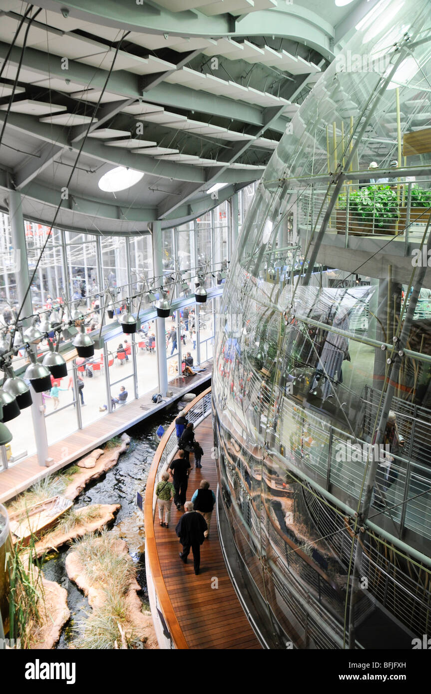 Interior - California Academy of Sciences Stock Photo - Alamy