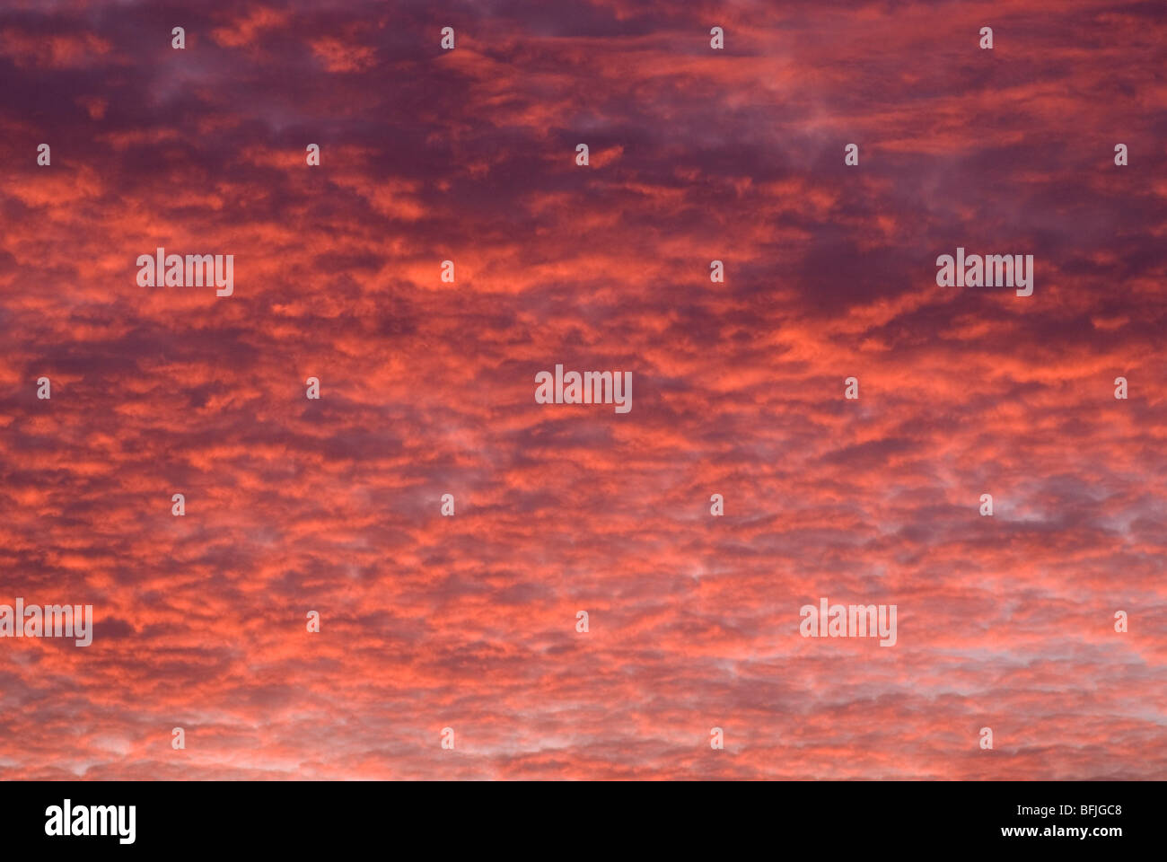 Salmon cloud colors hi-res stock photography and images - Alamy
