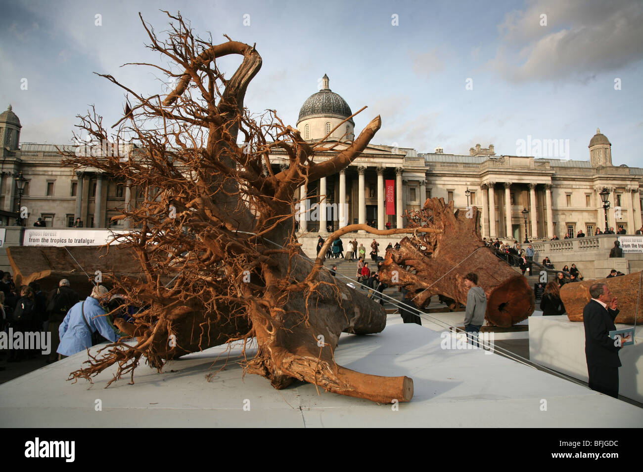 'Ghost Forest' installation, Trafalgar Square by artist Angela Palmer ...