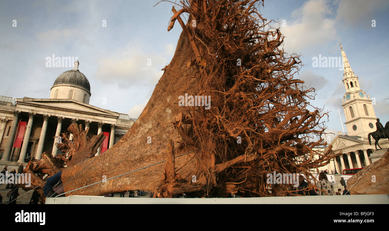 'Ghost Forest' installation, Trafalgar Square by artist Angela Palmer ...