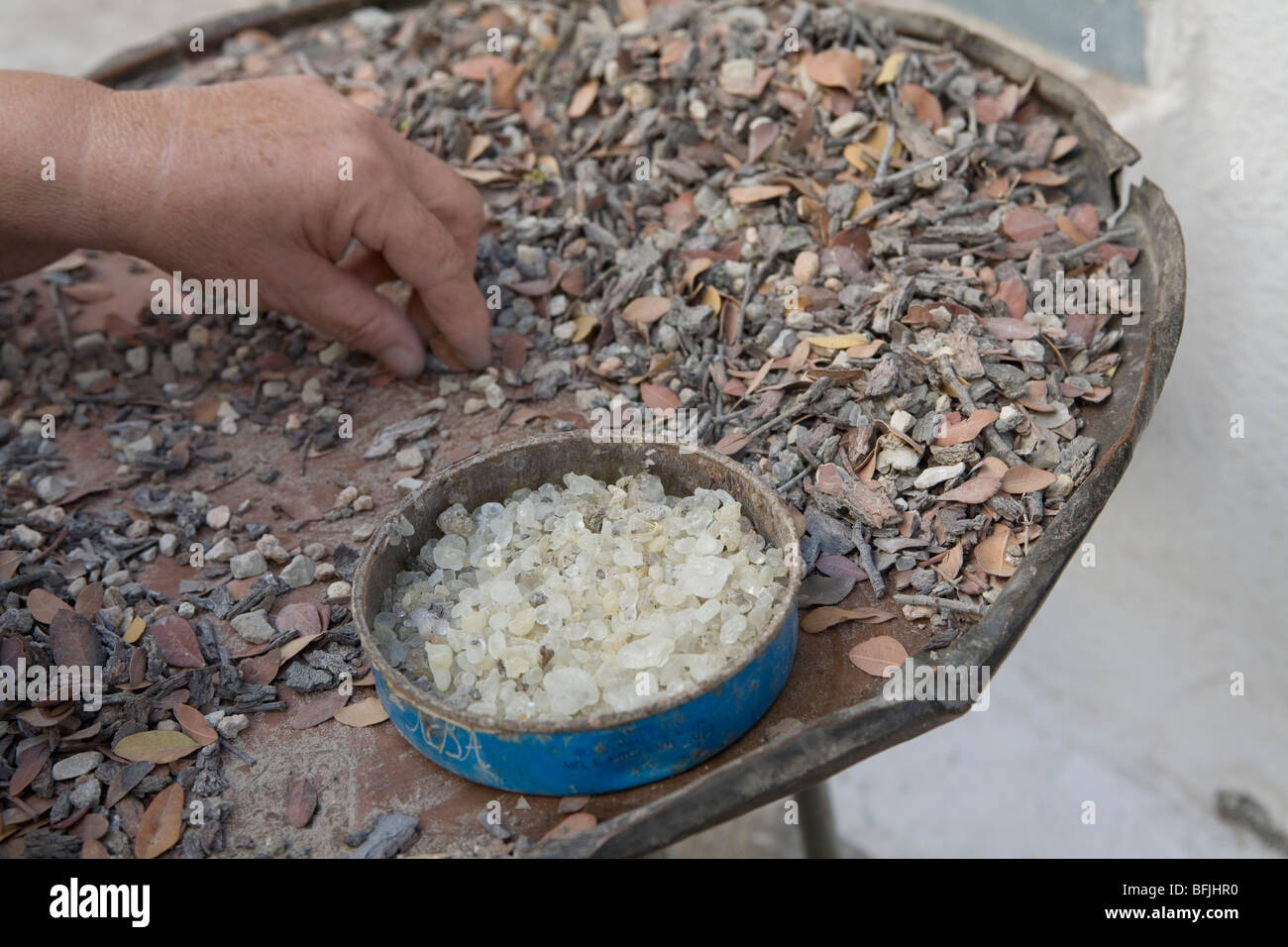 Mastic tree greece hi-res stock photography and images - Alamy