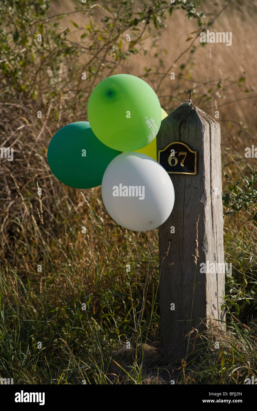 party balloons attached to wooden gate post in garden Stock Photo - Alamy