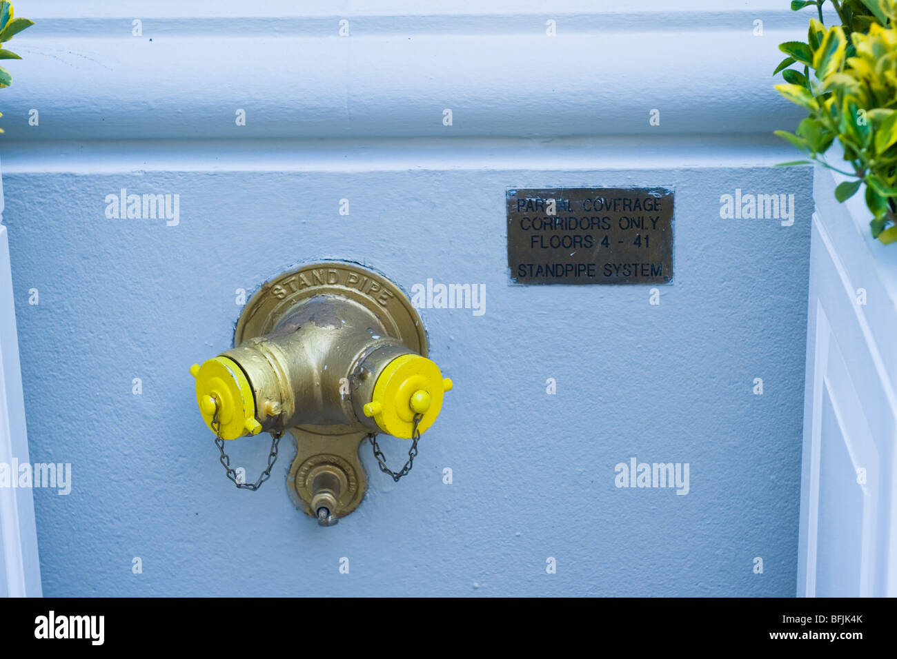 New York City , The Big Apple , Fire Department standpipe Siamese ...