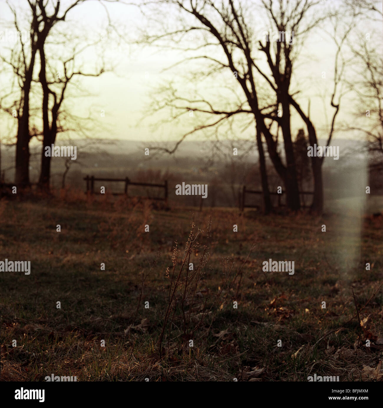 John Janney High Resolution Stock Photography and Images - Alamy