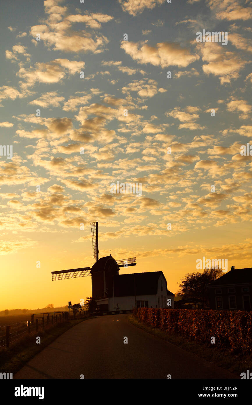 Traditional windmill on river levy along Maas River, The Netherlands ...