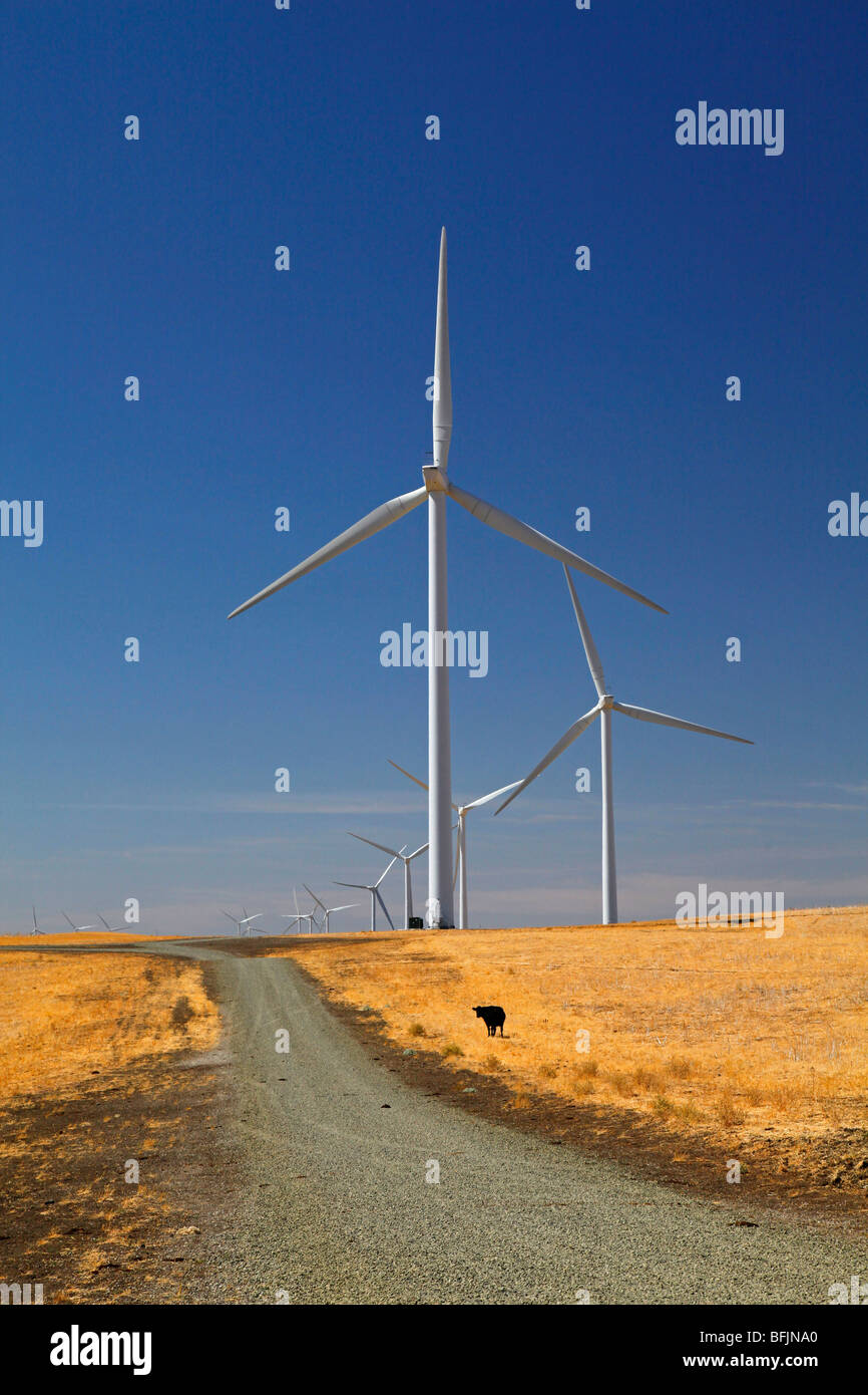 Wind turbine generators in north central California Stock Photo - Alamy