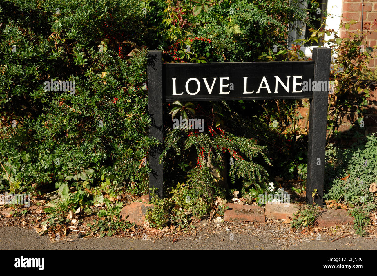 Road sign for Love Lane Stock Photo - Alamy