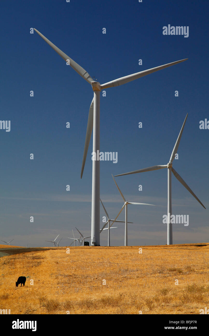 Wind turbine generators in north central California Stock Photo - Alamy