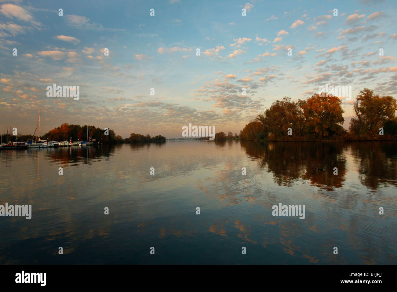 The river Maas near Maasbommel, The Netherlands Stock Photo - Alamy