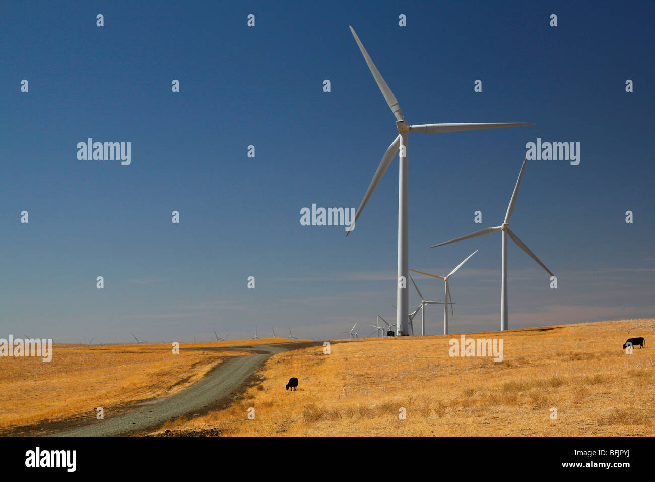 Wind turbine generators in north central California Stock Photo - Alamy