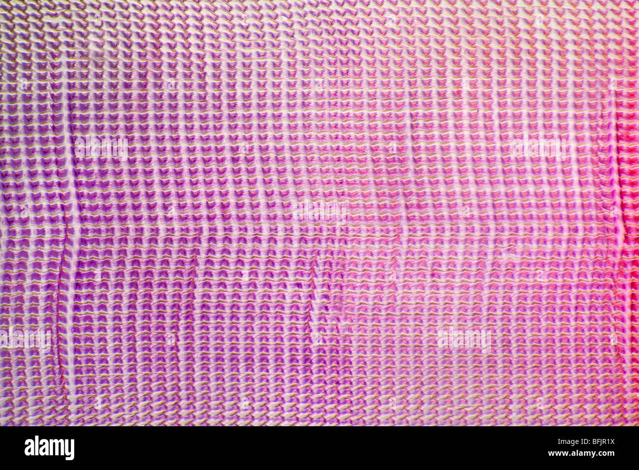 Photomicrograph of snail radulla shwowing rasping teeth Stock Photo - Alamy