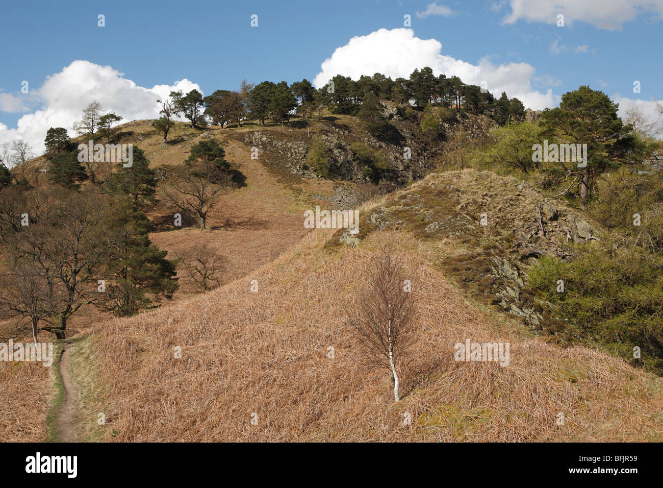 High Rigg in the English Lake district seen from the southern end in ...