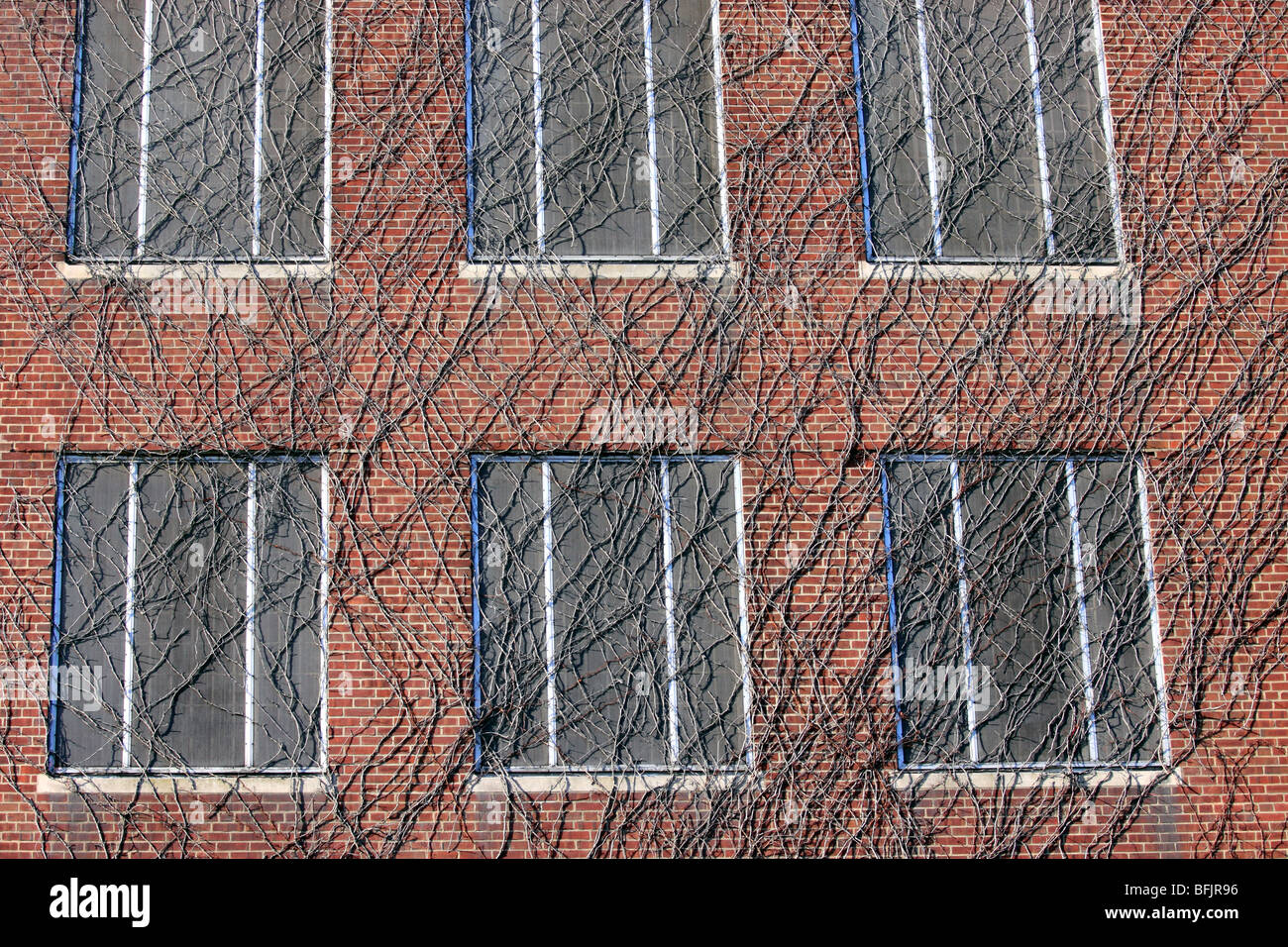 Section of building 93 at the abandoned Kings Park Psychiatric Hospital ...