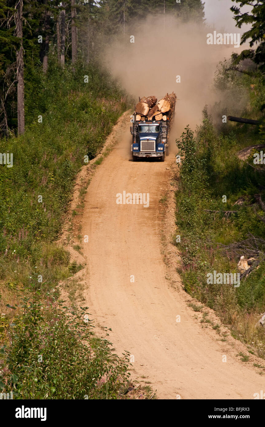 Logging truck coming down a hill on a dry dusty road Stock Photo - Alamy