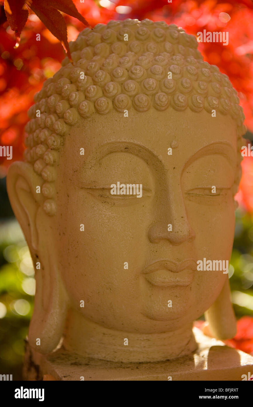 Bhudda High Resolution Stock Photography and Images - Alamy