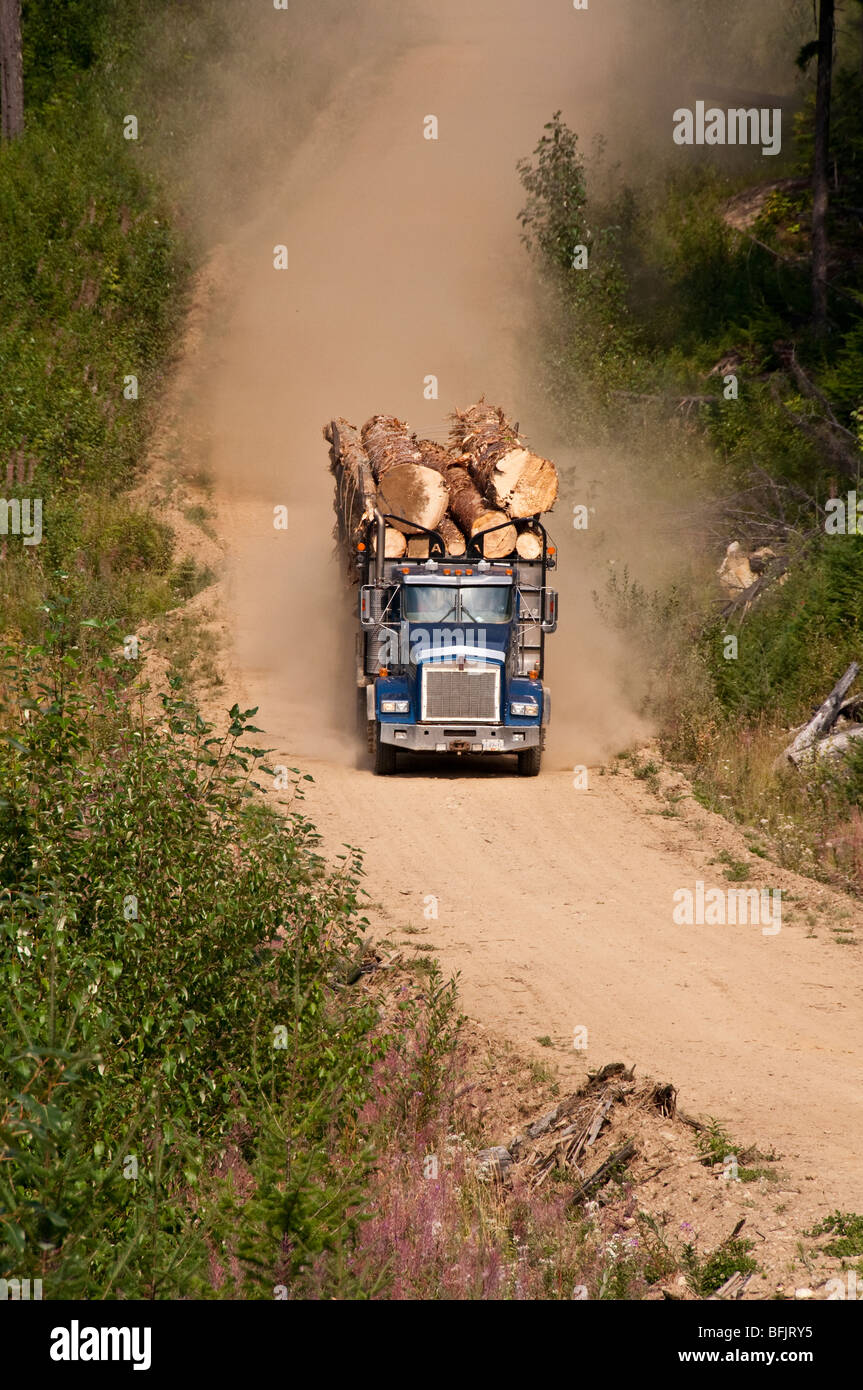 Logging truck on road hi-res stock photography and images - Alamy