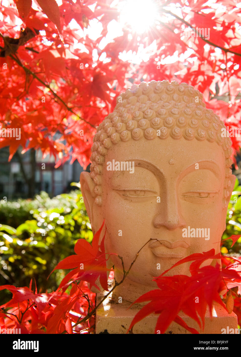 Bhudda High Resolution Stock Photography and Images - Alamy