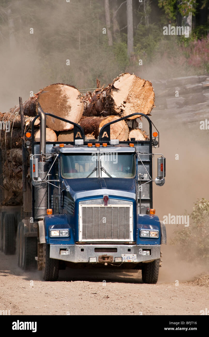 Logging truck on a dry dusty road Stock Photo - Alamy
