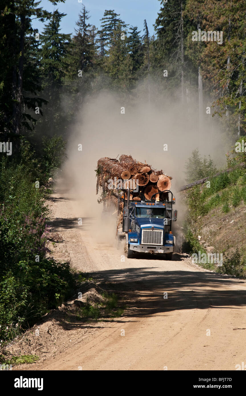 Bc logging hi-res stock photography and images - Alamy