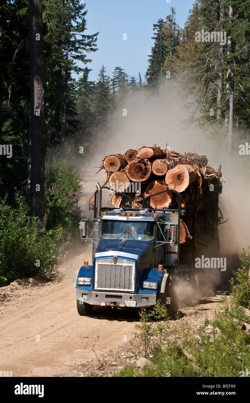 Logging and transportation hi-res stock photography and images - Alamy