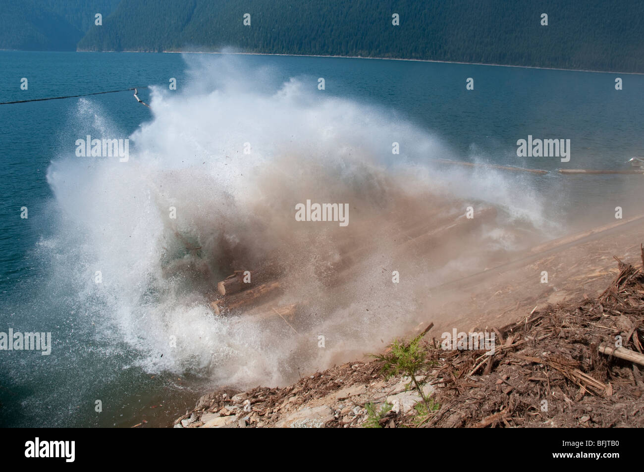 Logs sliding into water Stock Photo - Alamy