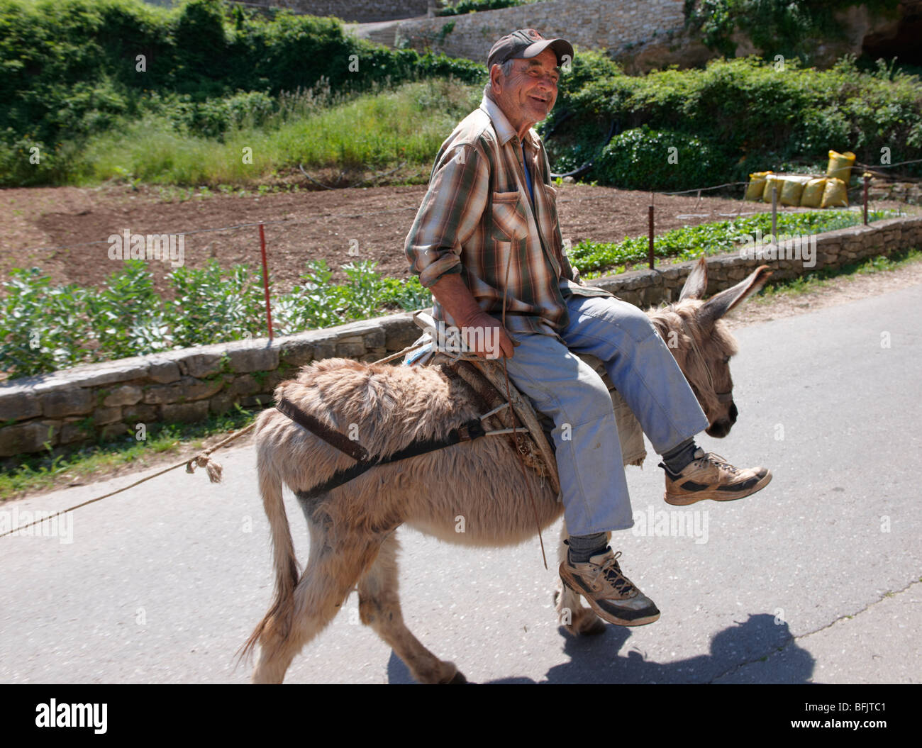 Man riding a donkey through Dol, Brač island, Croatia Stock Photo - Alamy