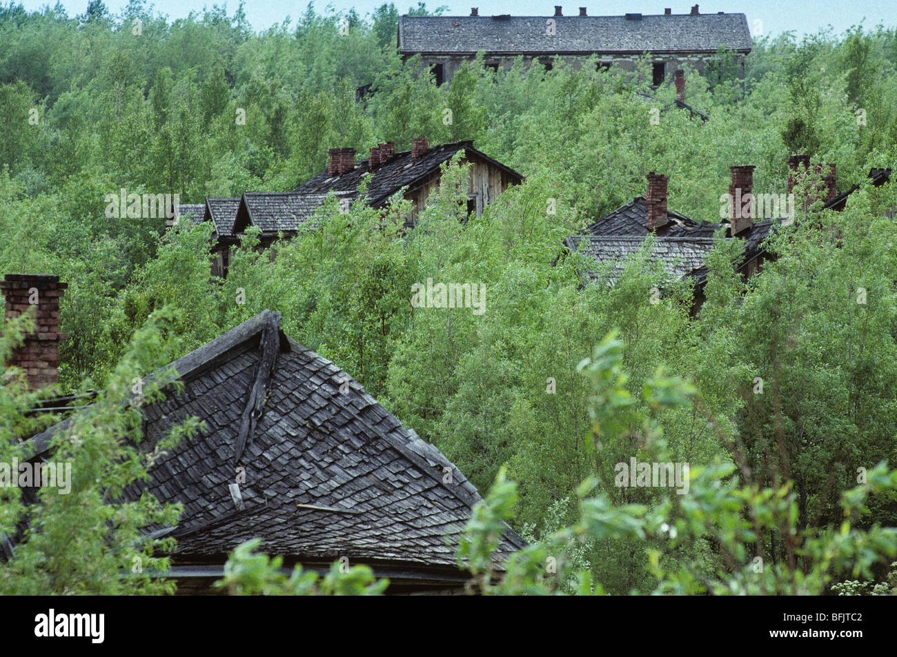 Stalin era labor camp ruins that supported the Salekhard Igarka Railway ...