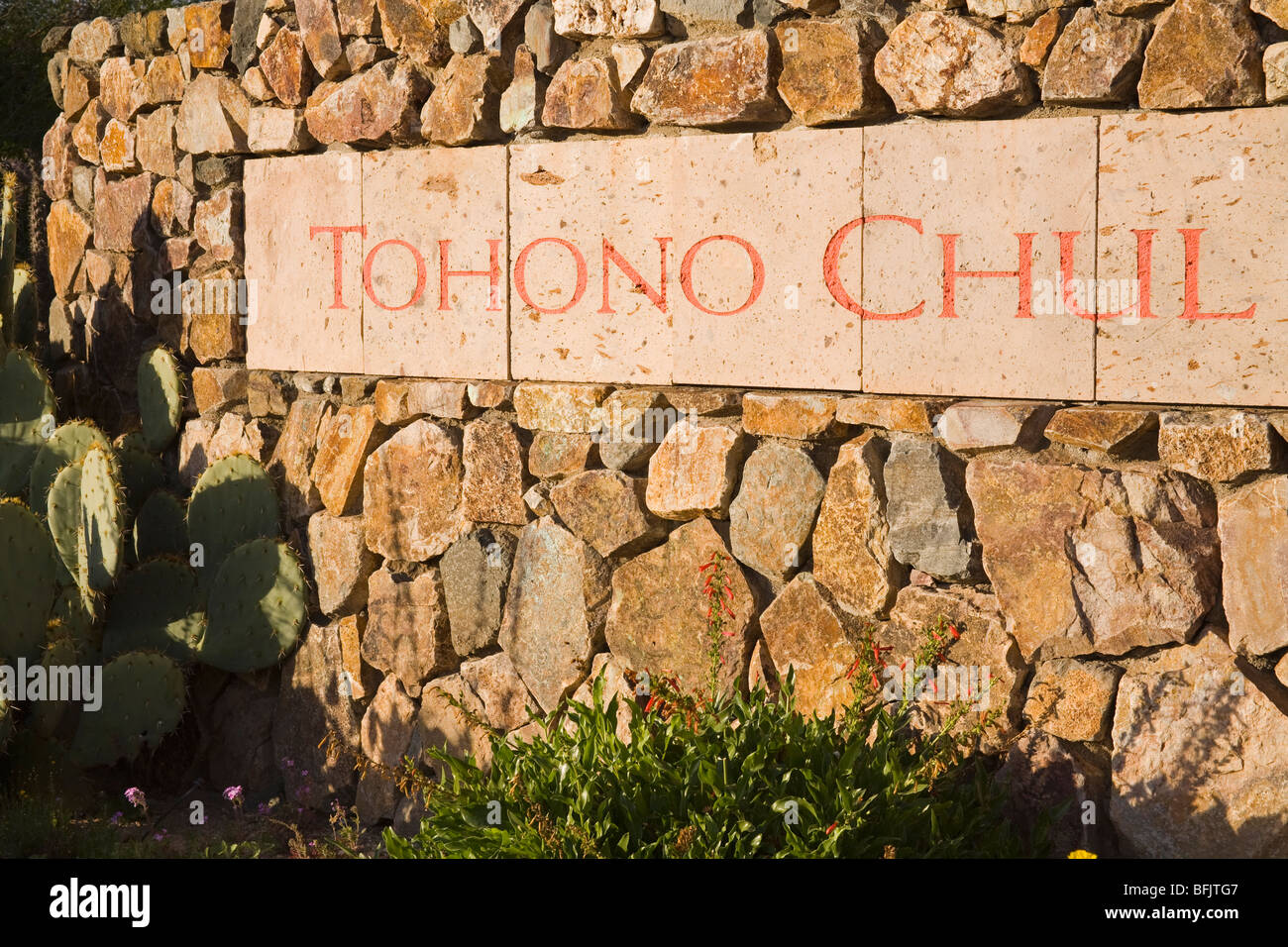 Tohono Chul Park, Tucson, Pima County, Arizona, USA Stock Photo - Alamy