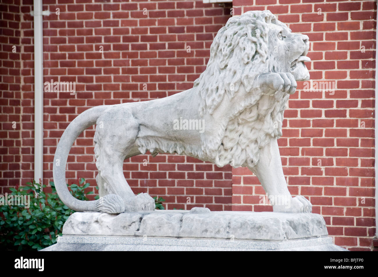 Sculpture in Baltimore Three Lions by Herman Henning (from the Calvert ...