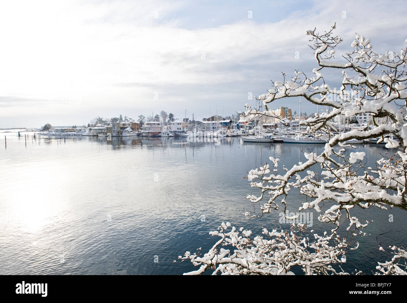 Seldom seen snow in Victoria, British Columbia, Canada Stock Photo - Alamy