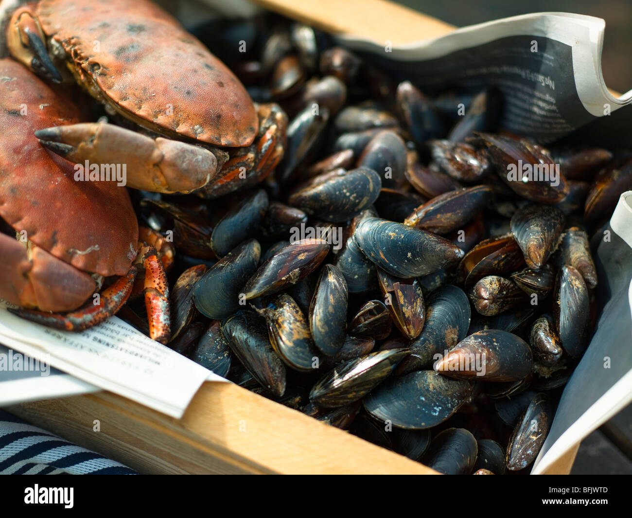 Clams in a box hi-res stock photography and images - Alamy