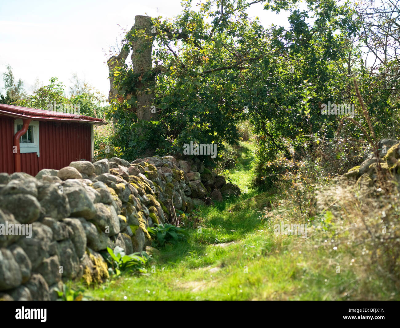 A stone wall next to a summer cottage, Skane, Sweden Stock Photo - Alamy