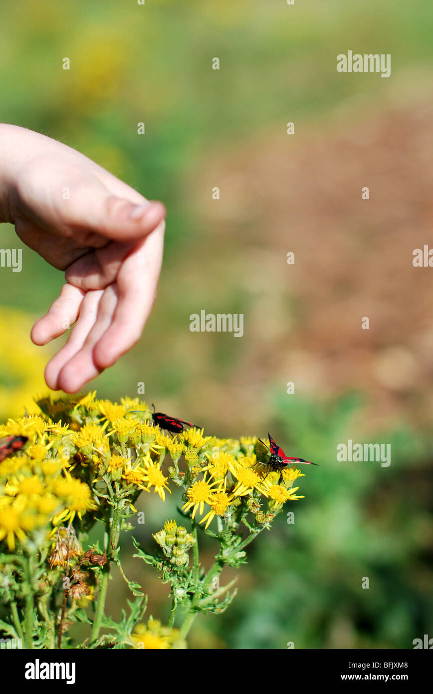 Child reaching out Stock Photo - Alamy