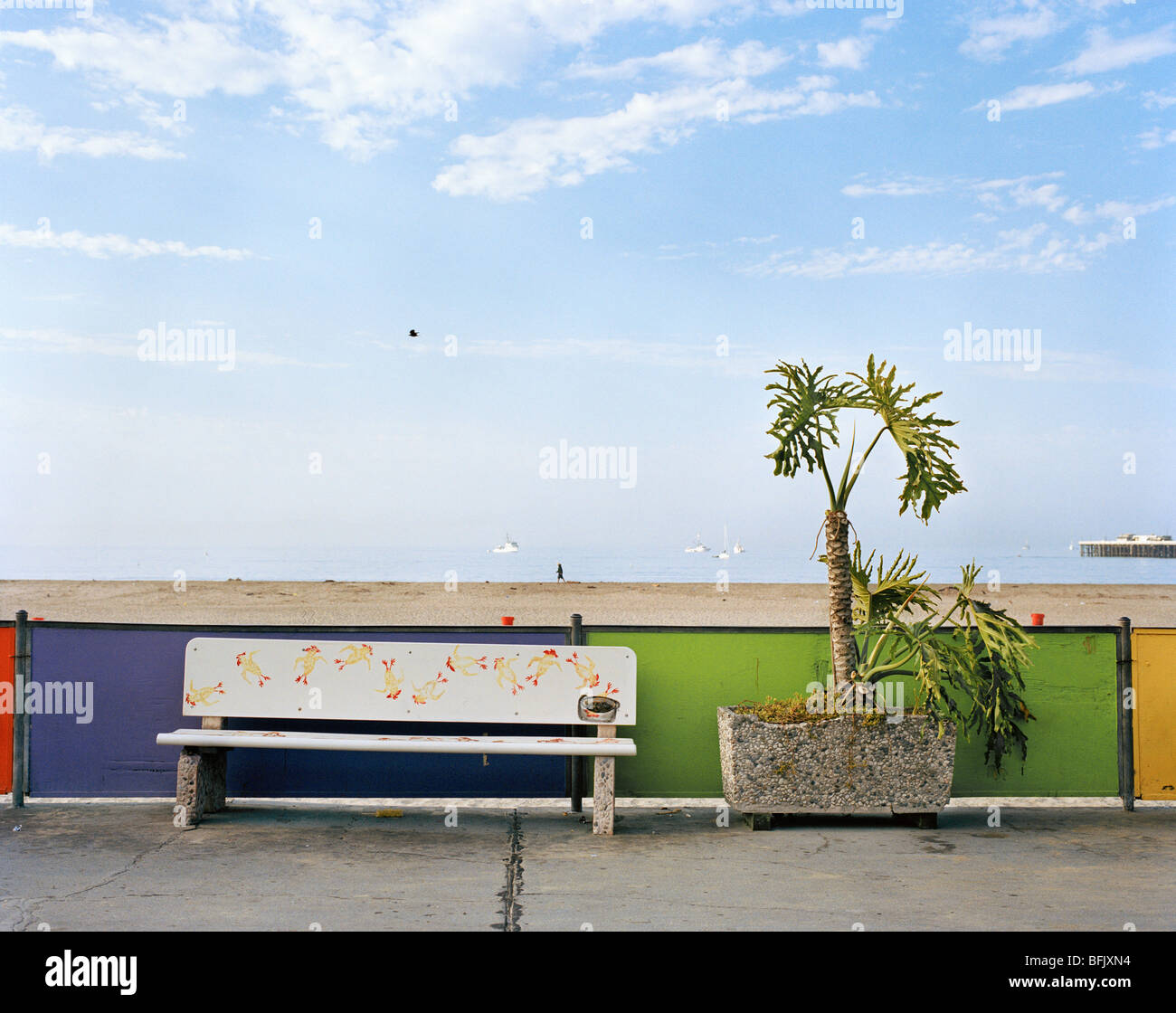 A bench by the sea front, USA Stock Photo - Alamy