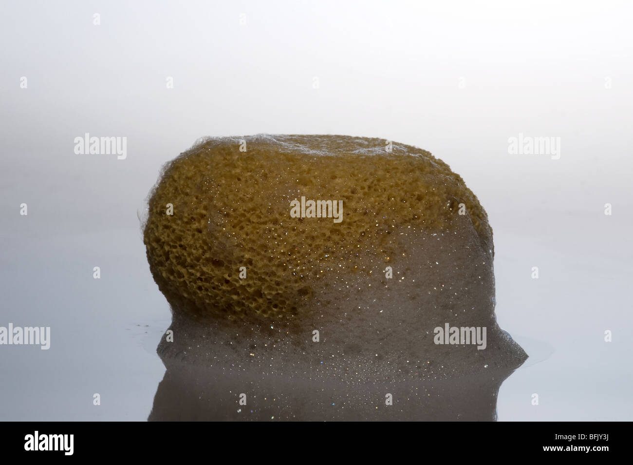 A lathery bath sponge Stock Photo - Alamy