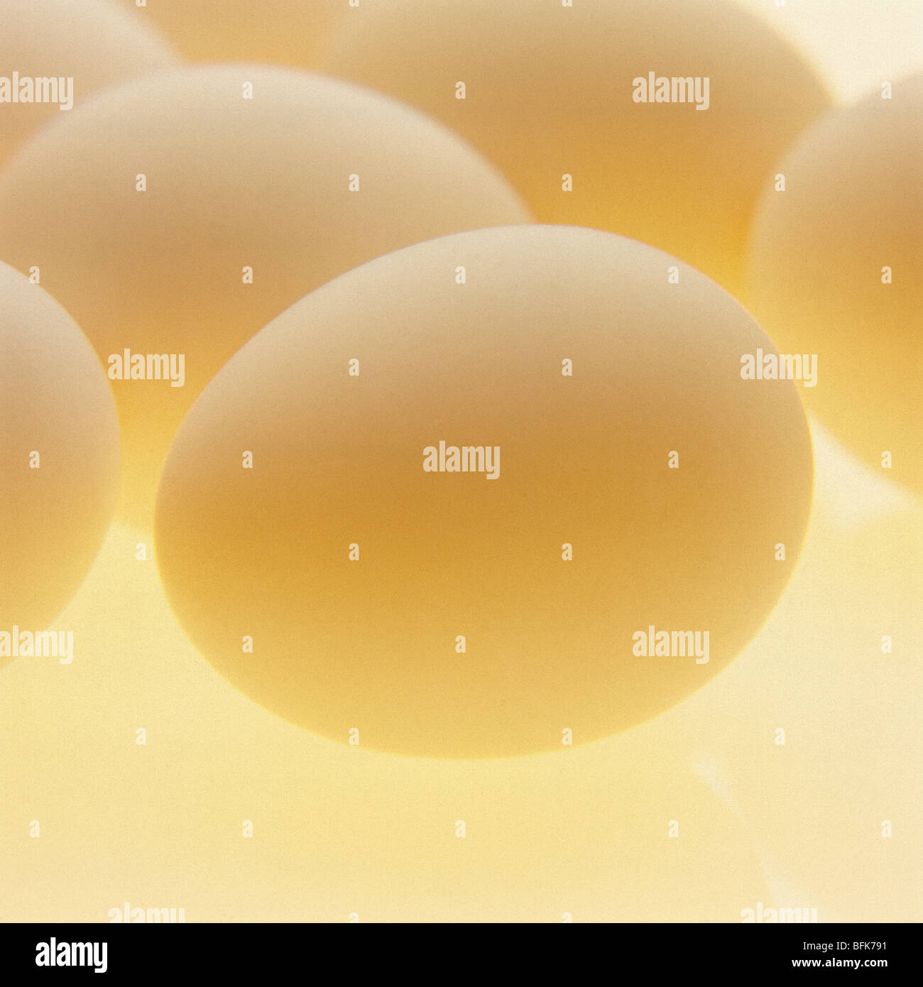 Medium eggs hi-res stock photography and images - Alamy