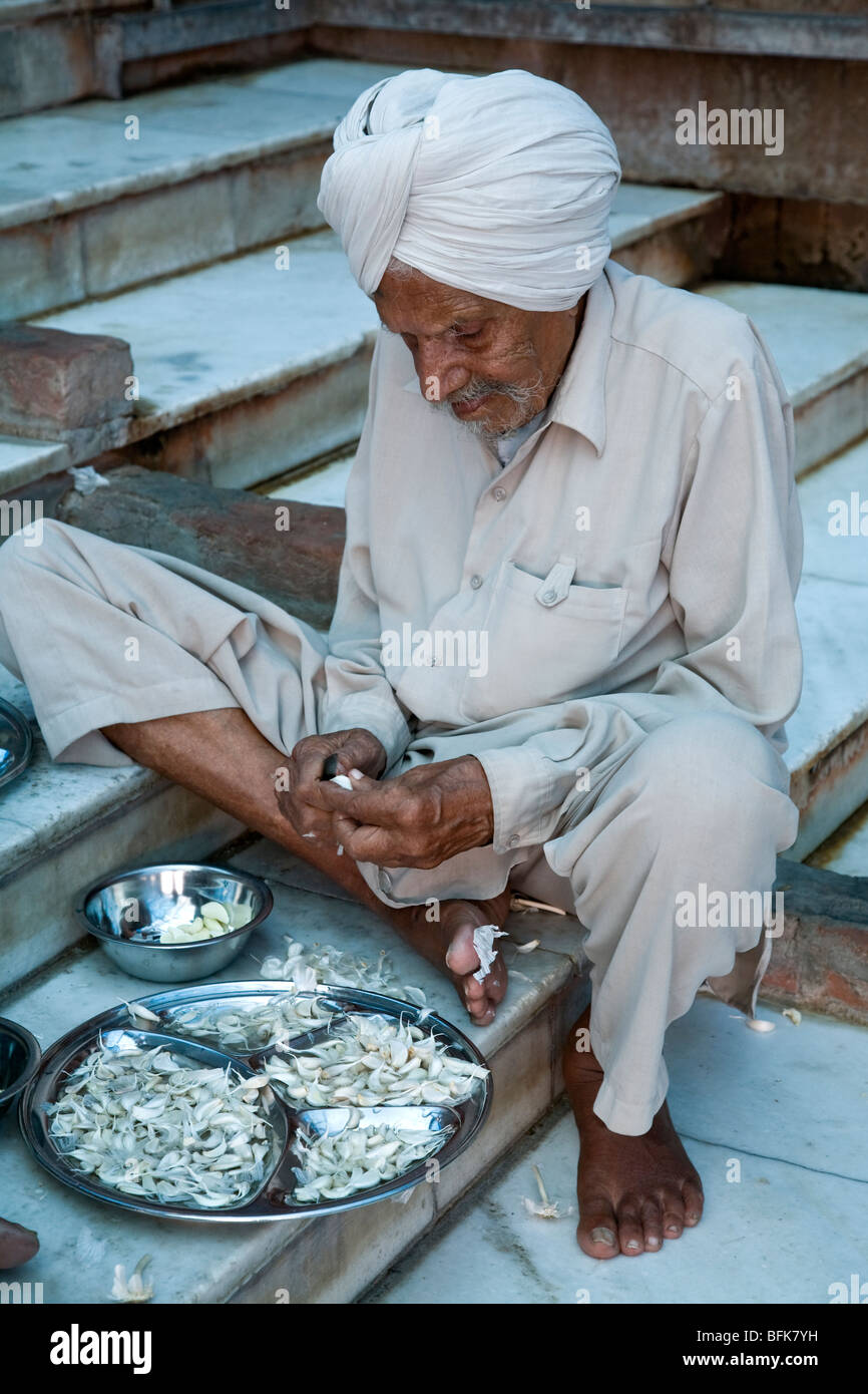 Sikh man peeling garlics. The Golden Temple kitchen. Amritsar. Punjab ...