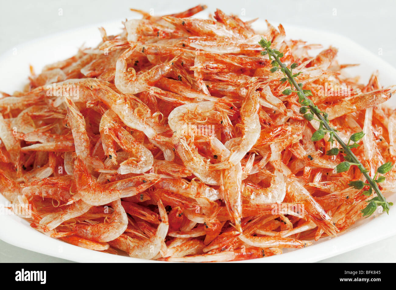 Sakura eibi (cherry shrimp Stock Photo - Alamy