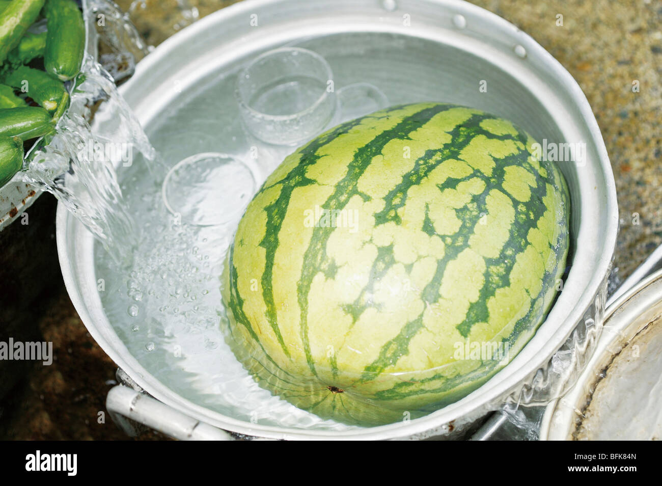 Watermelon in water being chilled Stock Photo - Alamy