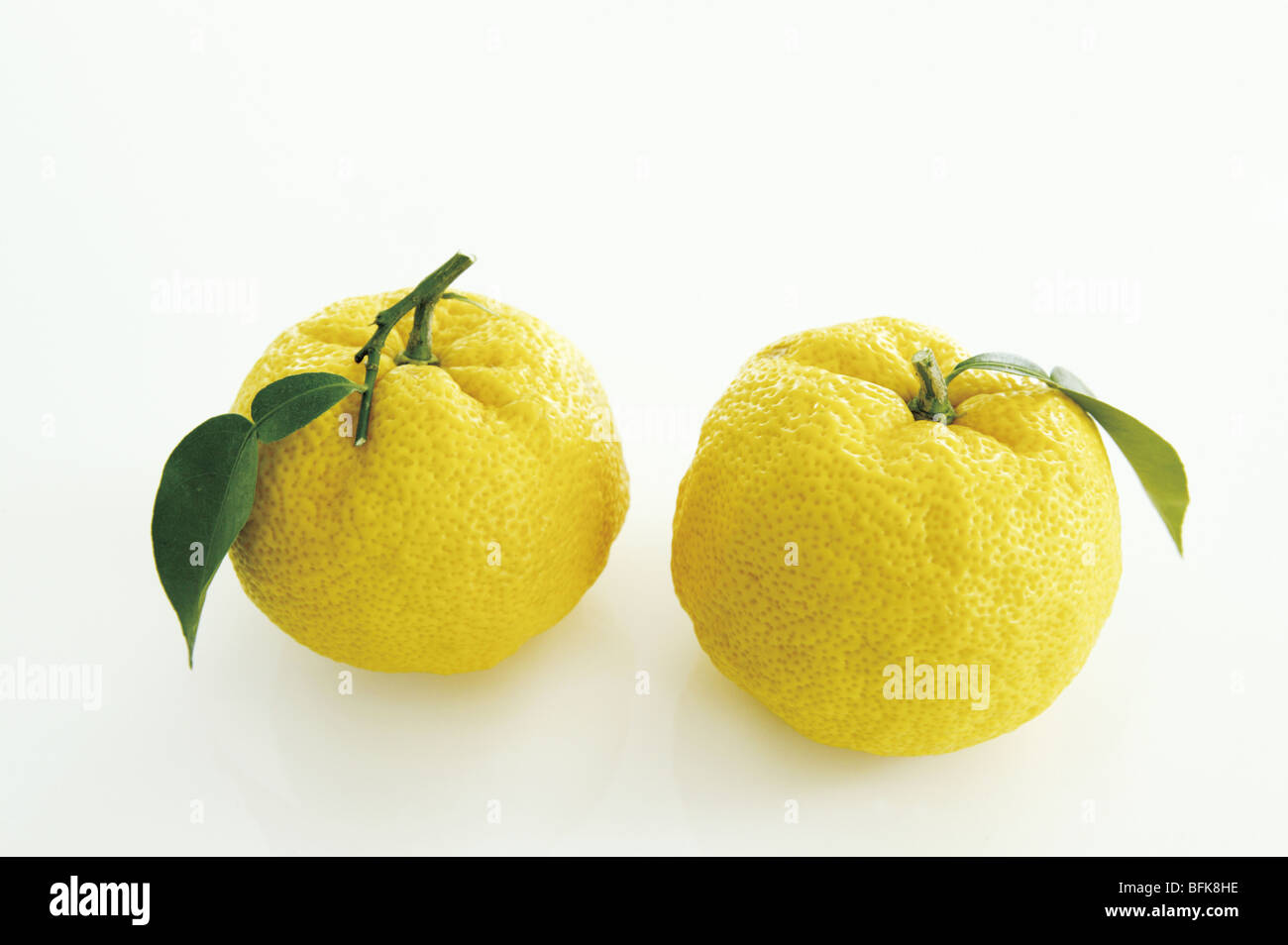 Yuzu fruits white background Stock Photo - Alamy