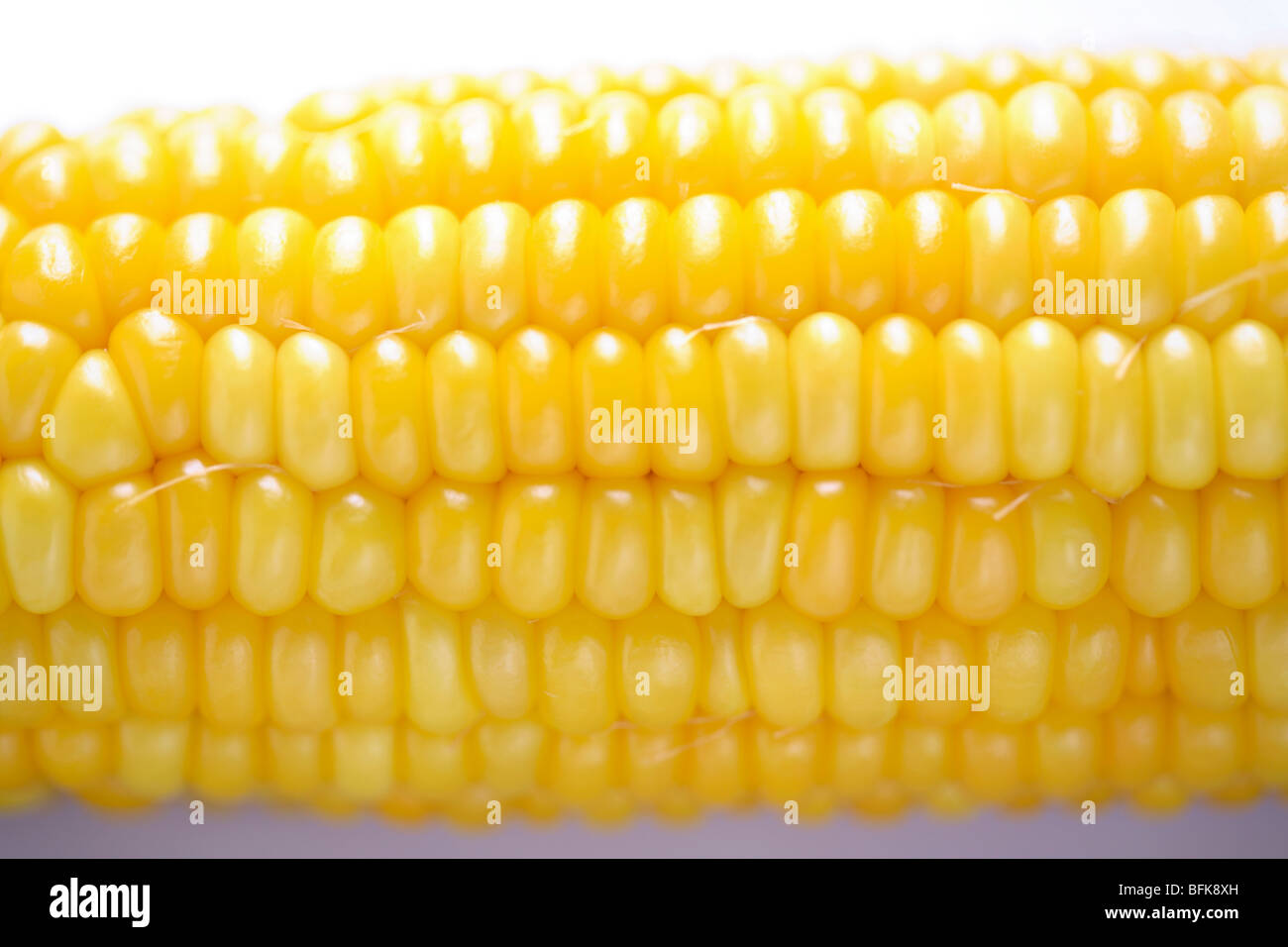 Corn close up white background Stock Photo - Alamy