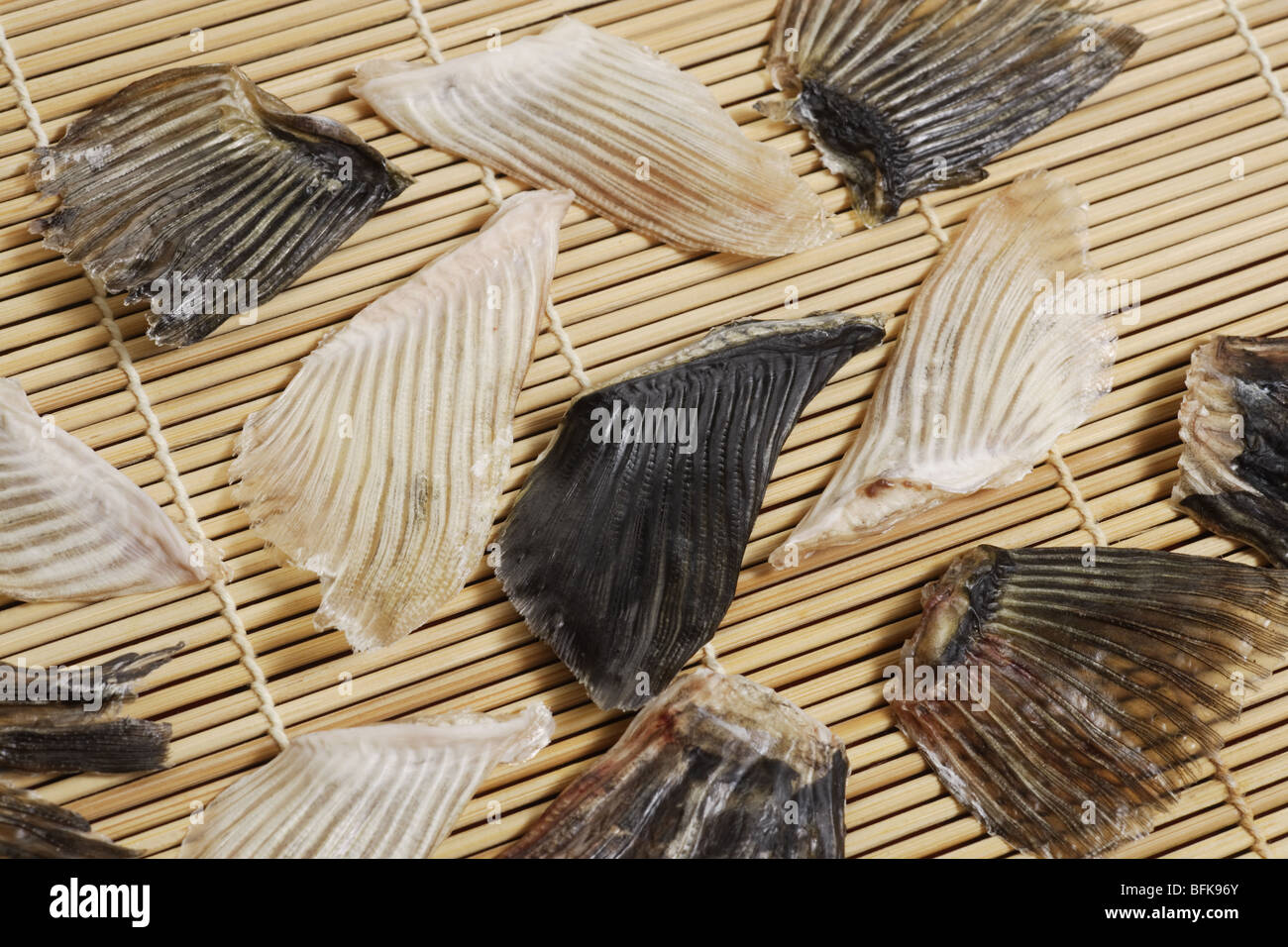 Fins of Japanese puffer fish Stock Photo - Alamy