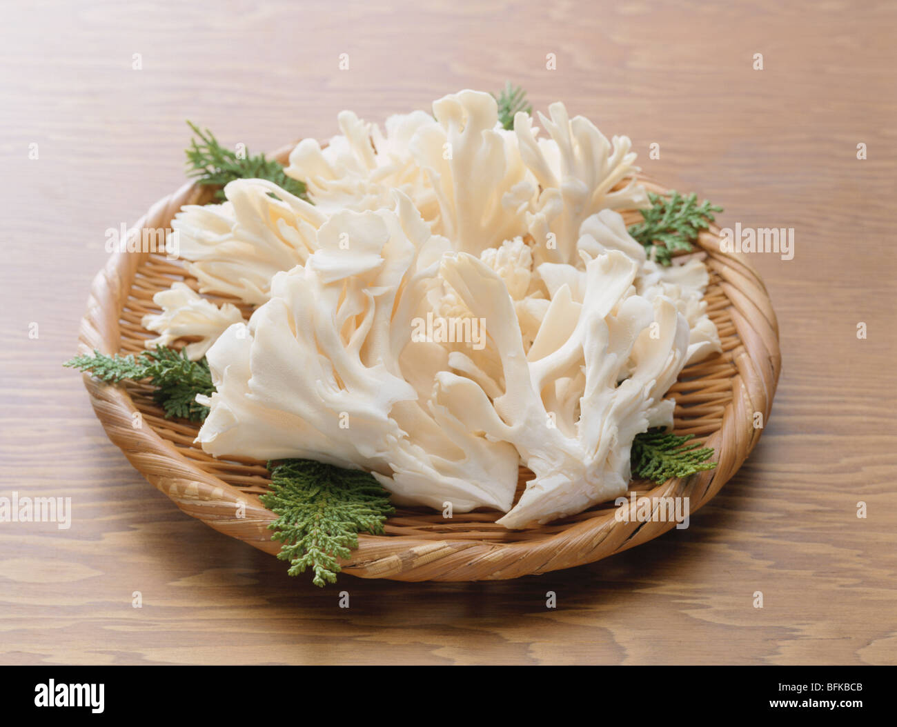 Maitake Mushrooms High Resolution Stock Photography and Images - Alamy