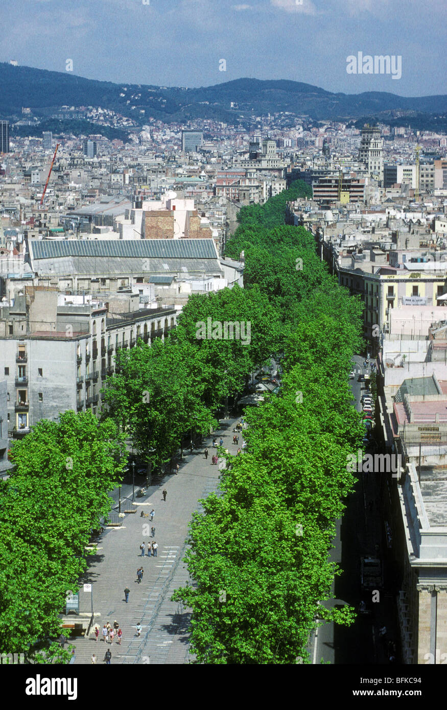 View of the tree lined La Rambla, one of the main thoroughfares of ...