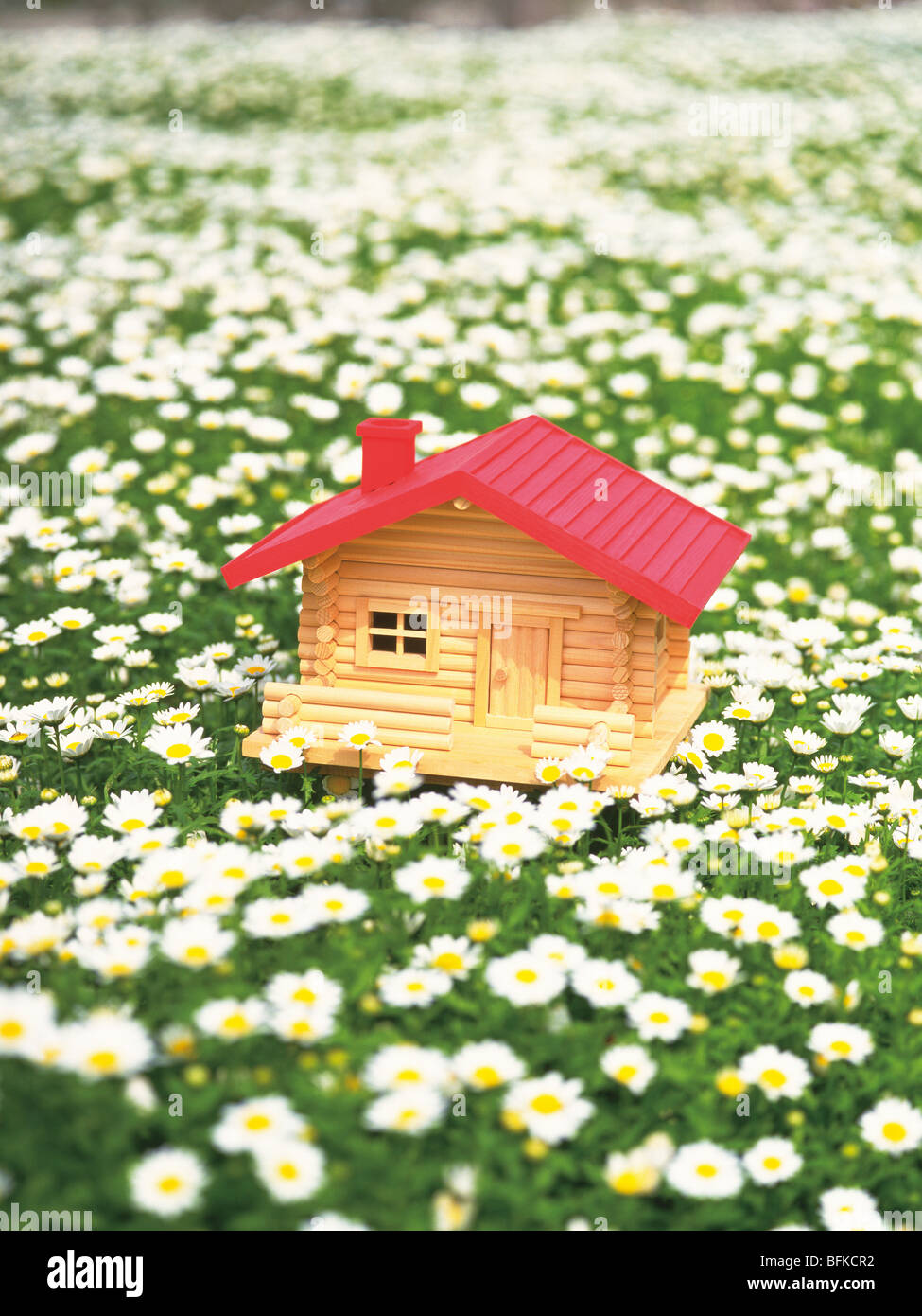 Model of house on flower field Stock Photo - Alamy